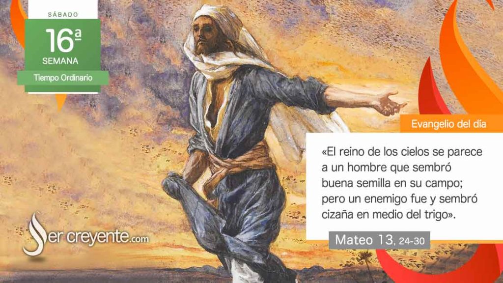Evangelio del día 26 julio 2025 (Cuando se formaba la espiga, apareció ...